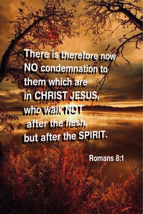 Romans 8 Study Notes