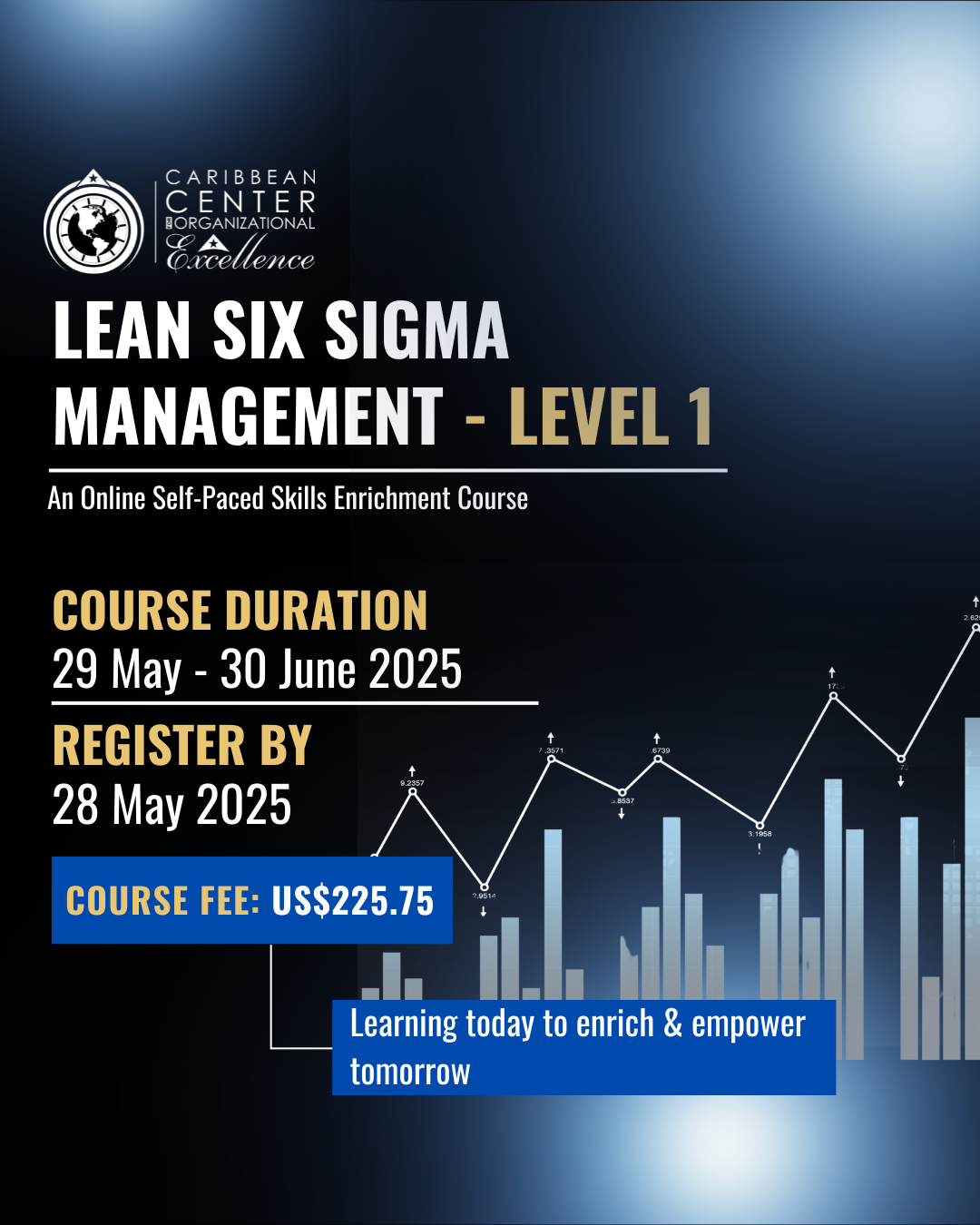 Lean Six Sigma Management -Level 1 | The CCOE