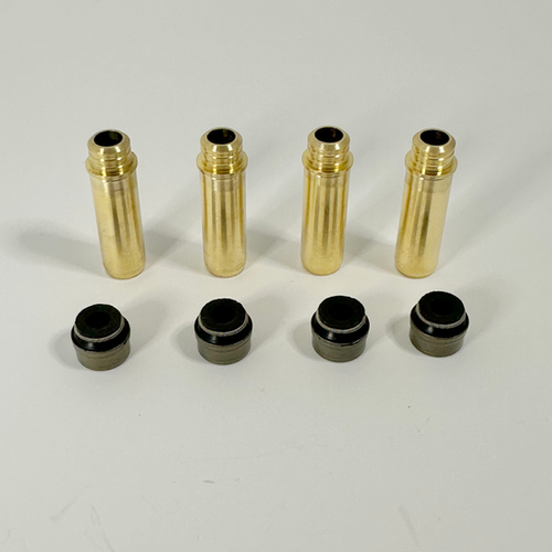 Briggs Bronze Valve Guides & Seals | Beckwith Performance