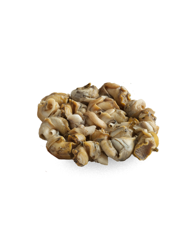 Whelk Meat Par-Cooked Small 10x1kg | Sea Treasure Seafood