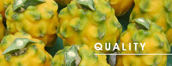 Ecuaexotics Premium Fruit