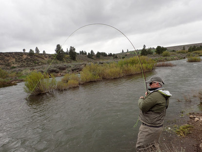 Waters & Fish | Truckee Tahoe Fly Fishing | Four Seasons Fly Fishing