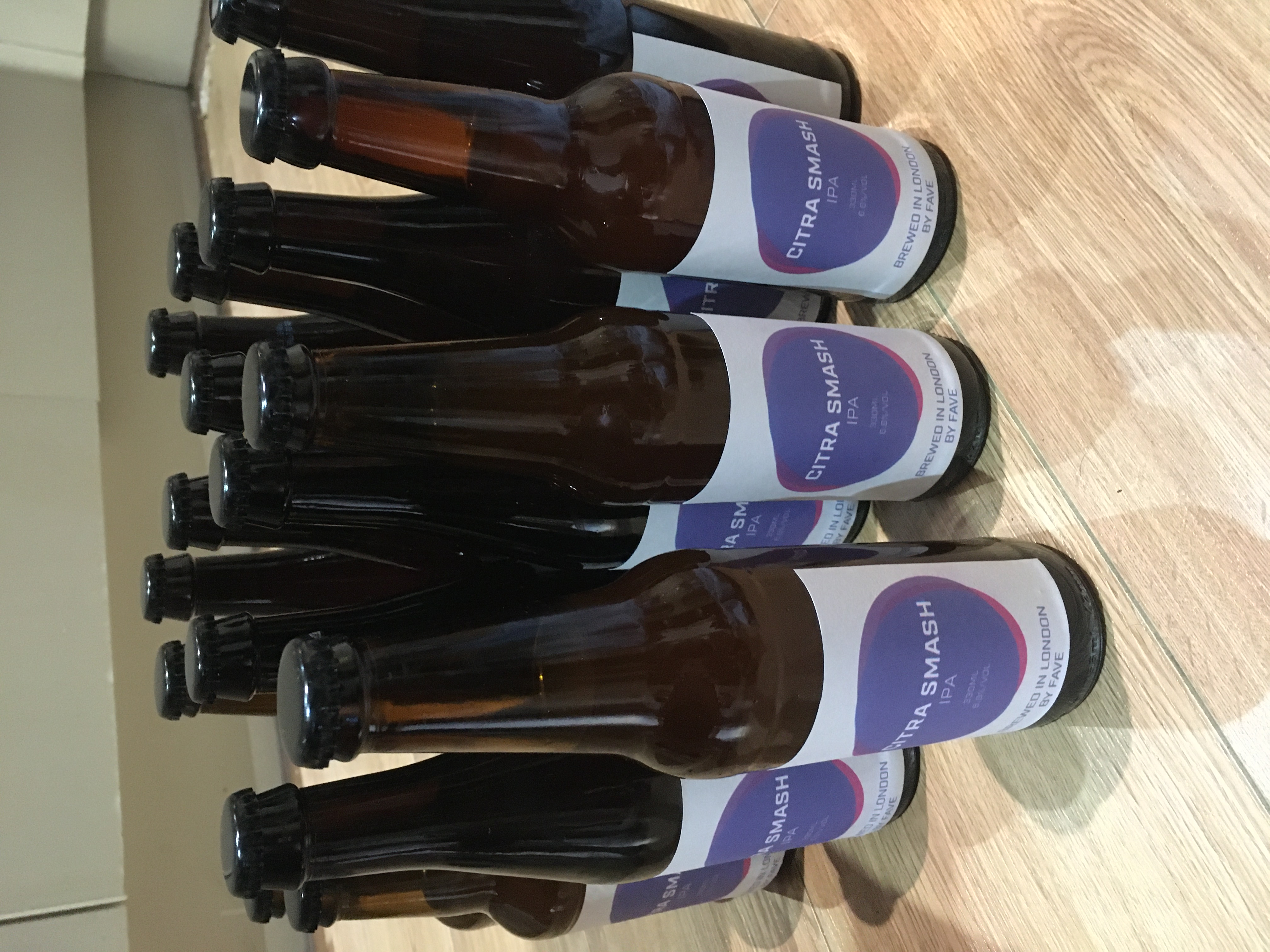 Brew #2 - A Citra SMaSH IPA