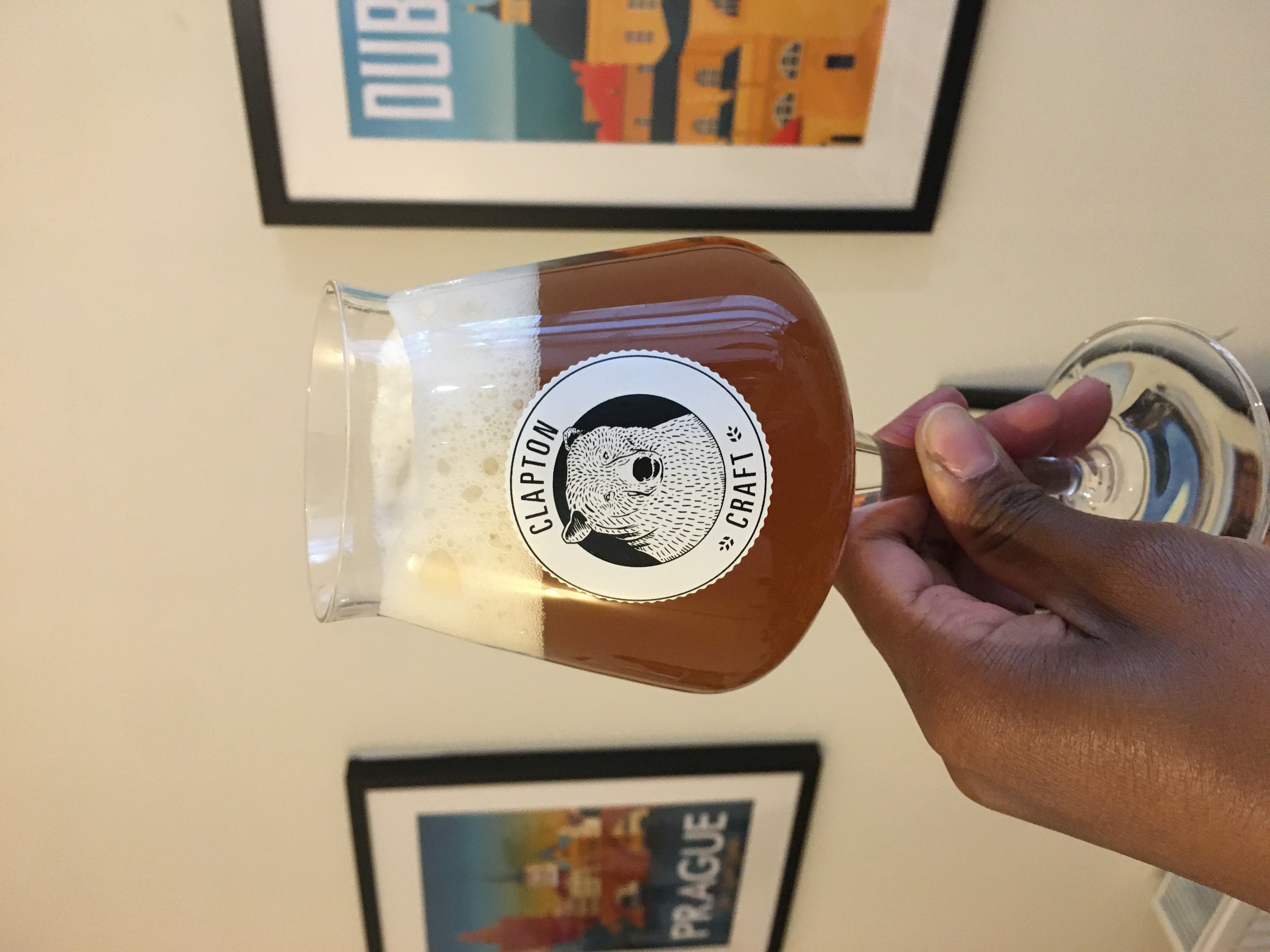 Brew #2 - A Citra SMaSH IPA