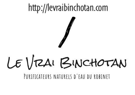 Le Seul Charbon Binchotan Japonais Certifié et 100 % naturel | Le Vrai ...