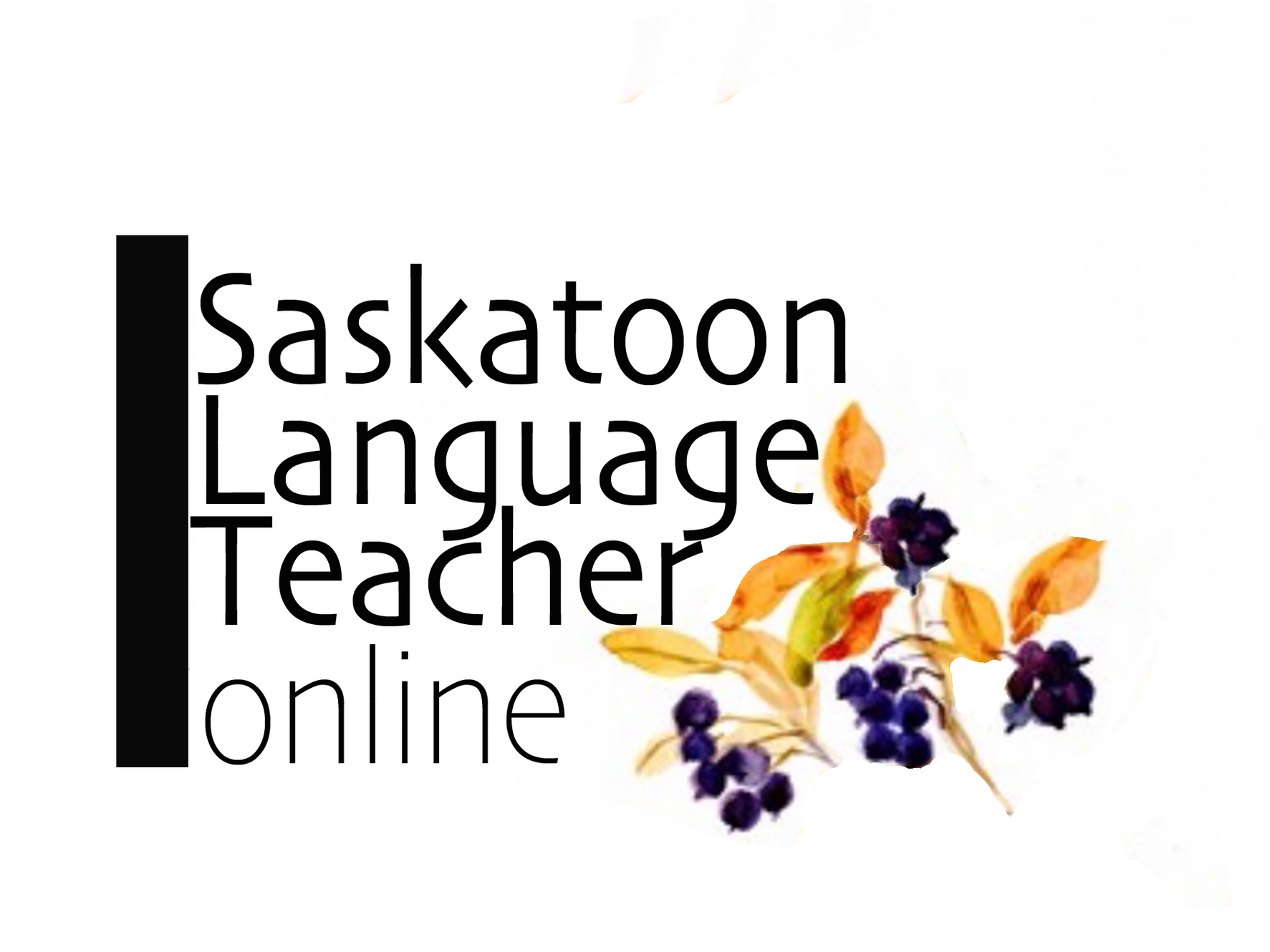 Saskatoon Language Teacher Online English Classes For Children