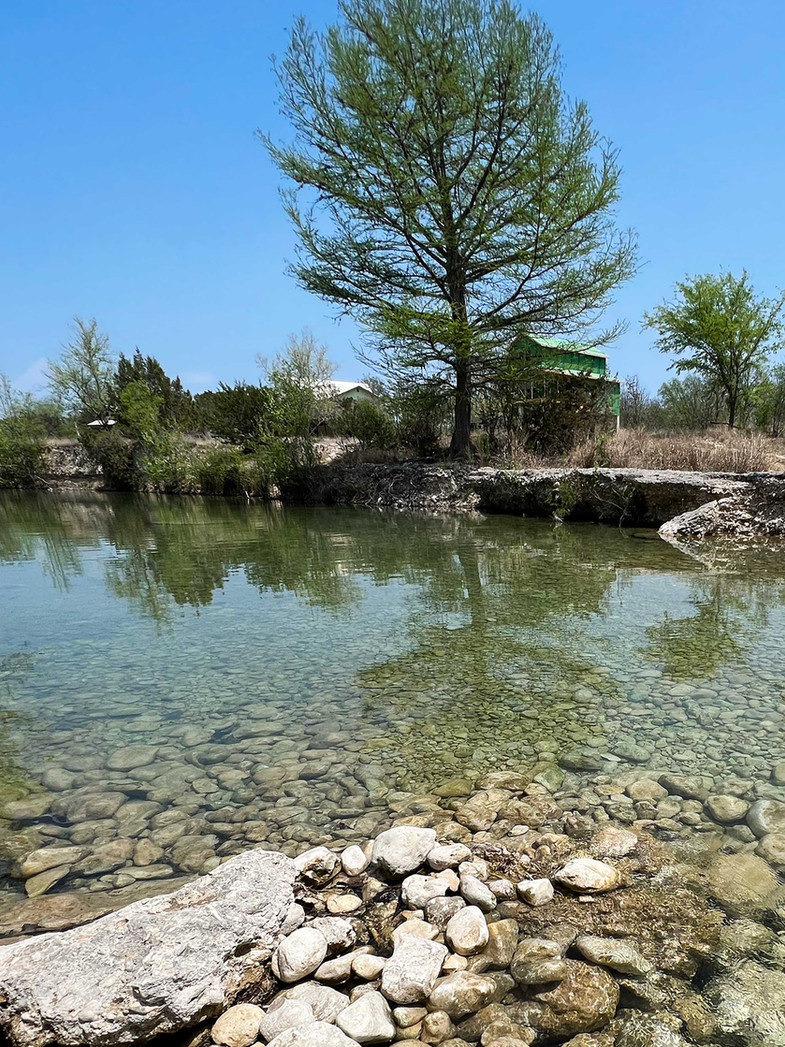 Rio Frio RV Park and Campground | Camping and RVs with Frio River ...