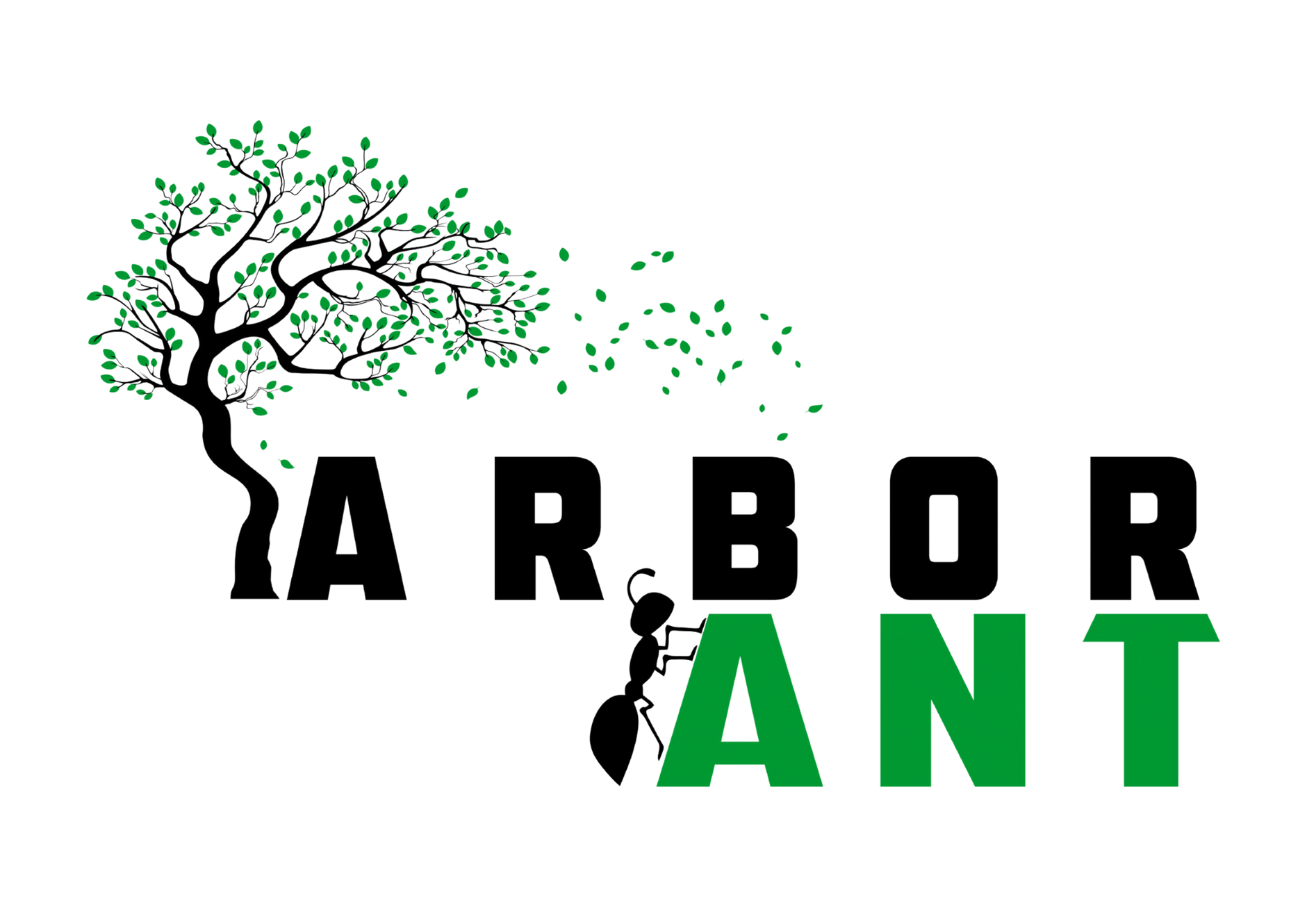 Home | Arbor Ant