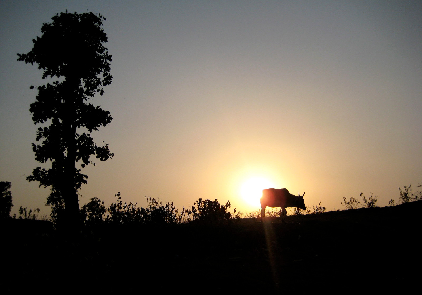 Allison Corinne, Lifestyle and Portrait Photographer in Maryland