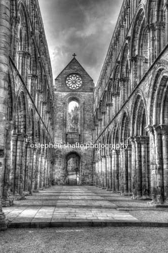 Jedburgh Abbey | Flower Expressions