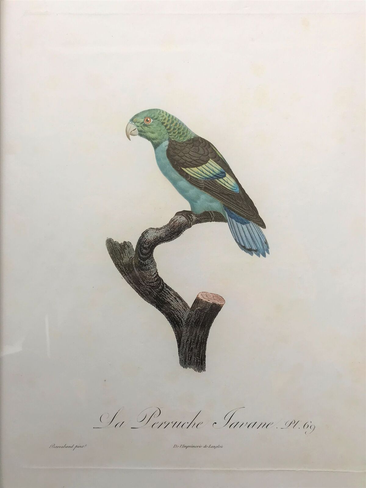 Jacques Barraband | austin-galleries