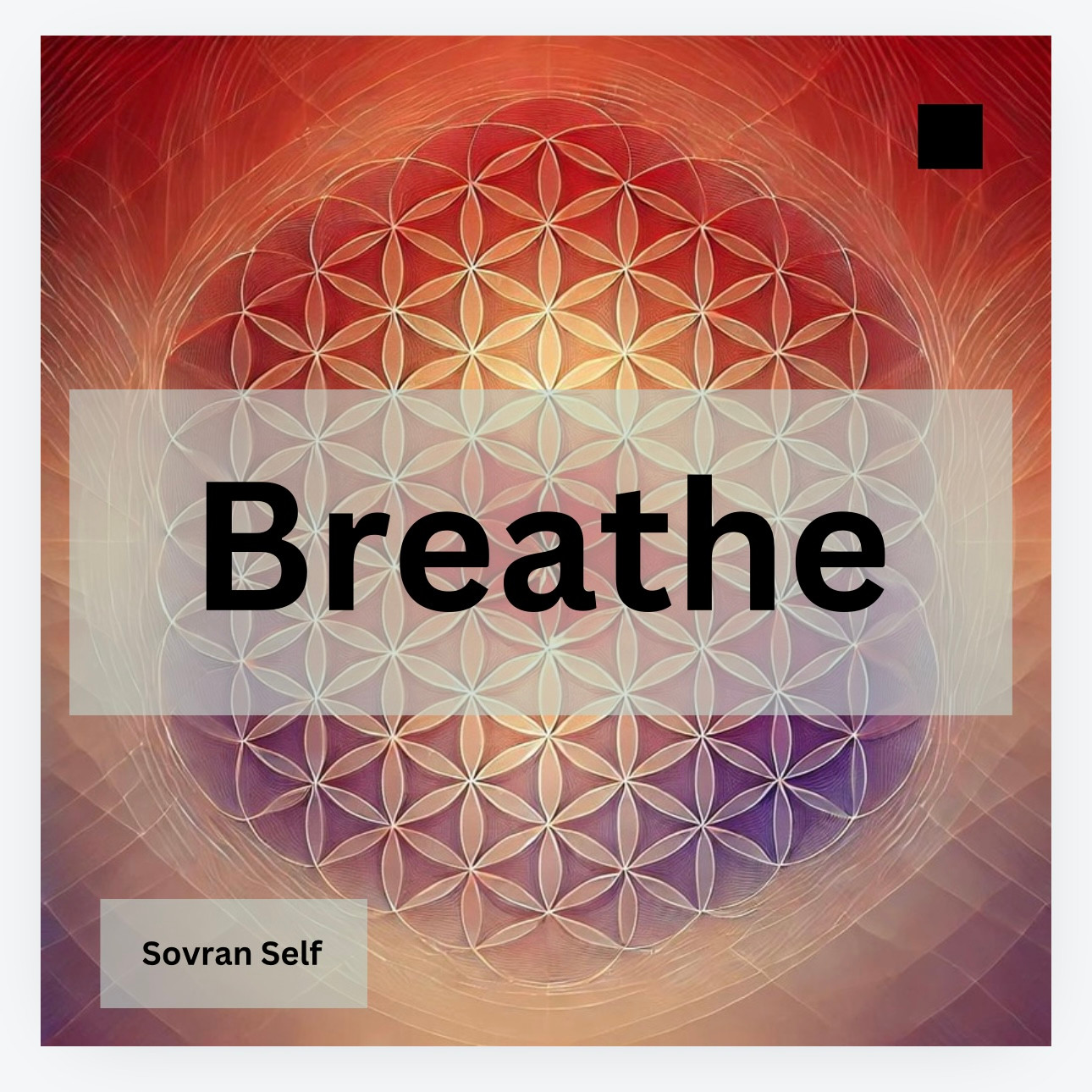Step 1: Breathe – The Foundation of Life