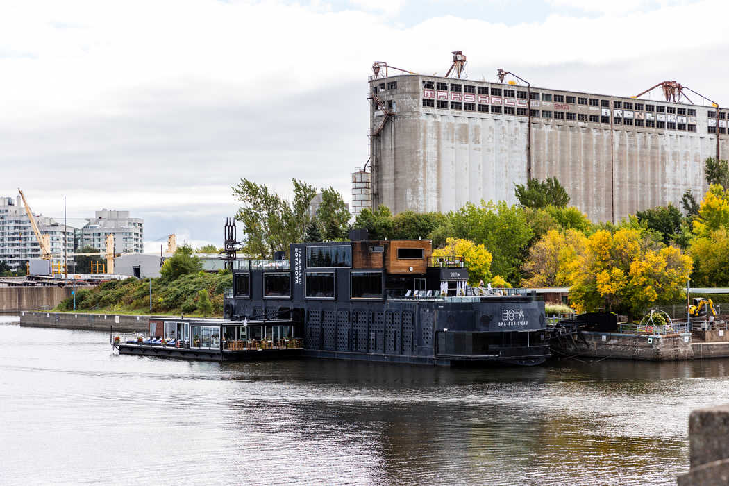 Portraits by Jessi | Commercial Licensing, Branding, Headshots ...