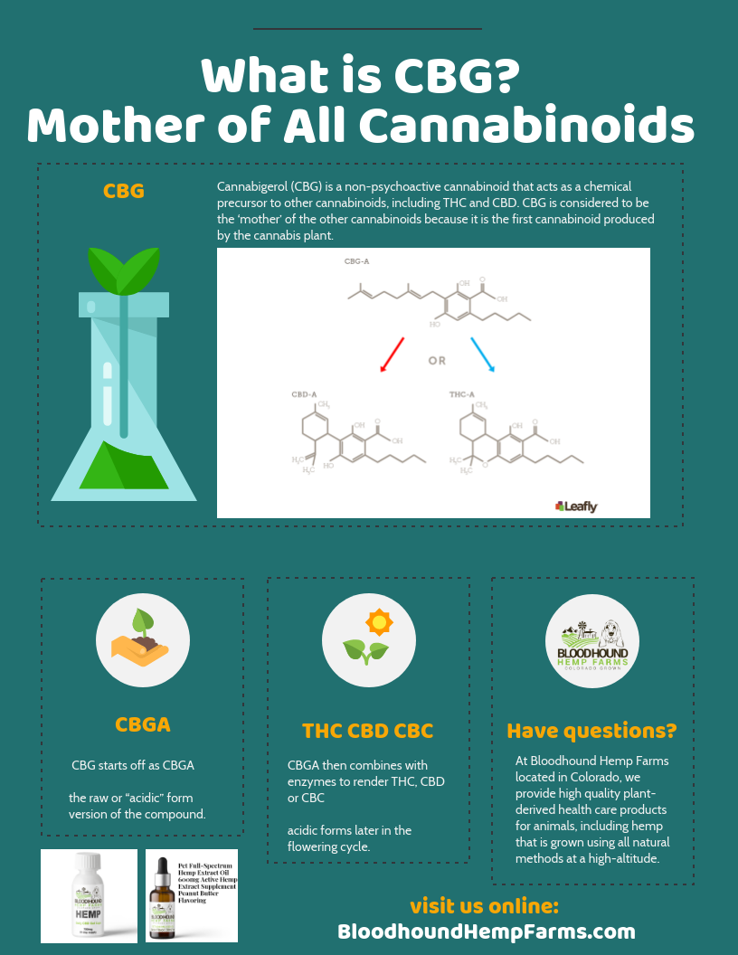 Cancer and CBD: "The Antitumor Activity of Plant-derived Non ...