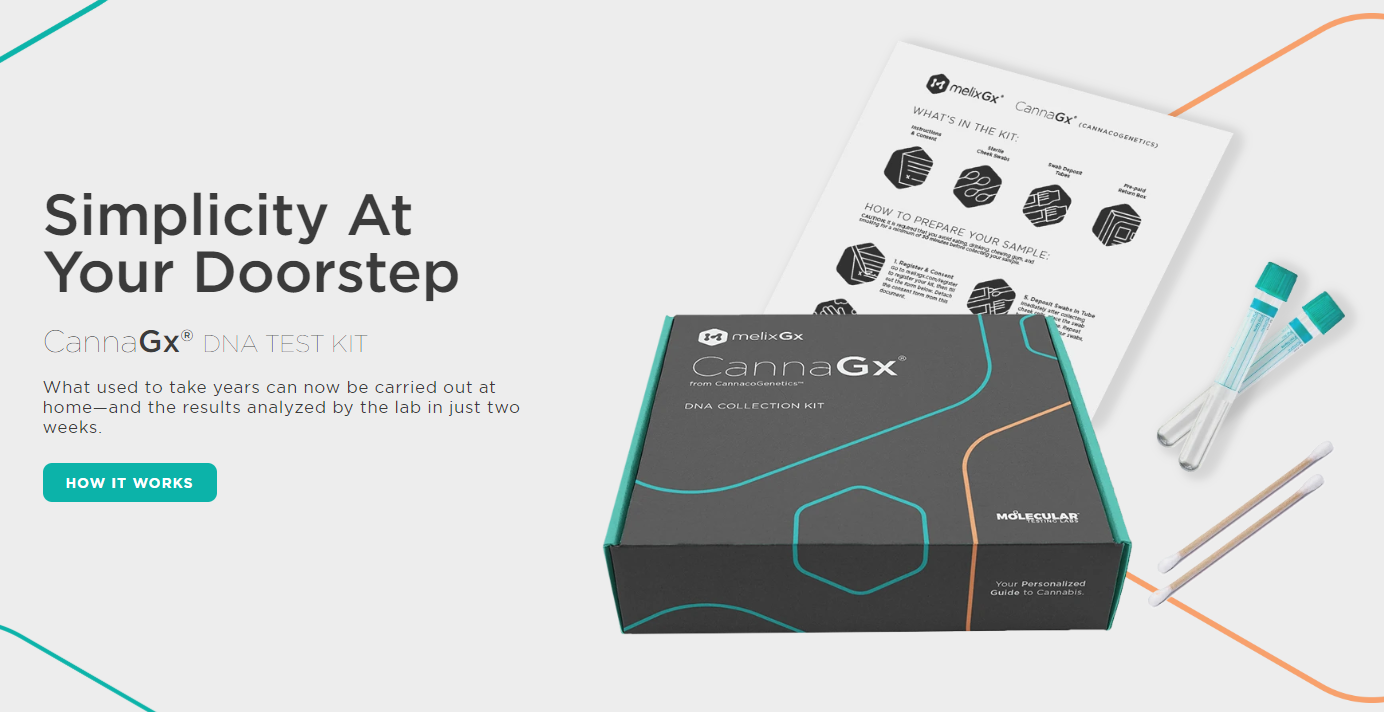 Testing | DNA CBD Home Test Kits