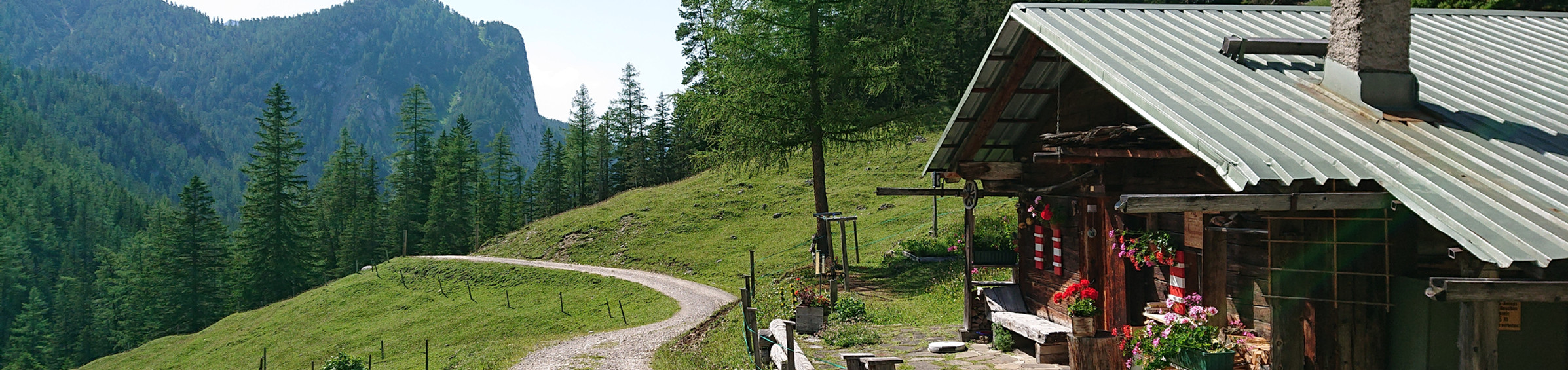 Easy Guided Hikes in the Alps from Munich