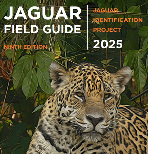 Jaguar Field Guide (Digital) | Jaguar ID Project