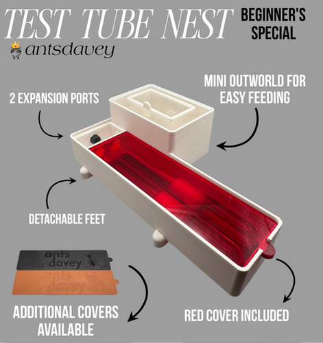 Test Tube Nest (Ant Farm Starter Kit) – Founding Setup for Ant Colonies ...