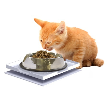 SQUARE ANT PROOF PLATE 185mm x 185mm | Ant Proof Products