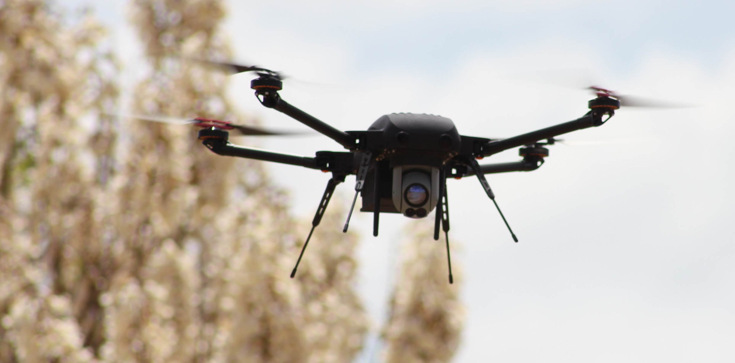 Flying Production LTD