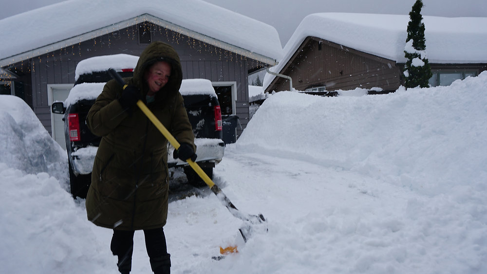Princess Cruises Rose Parade Float | Star Princess Alaska - News Usa Today