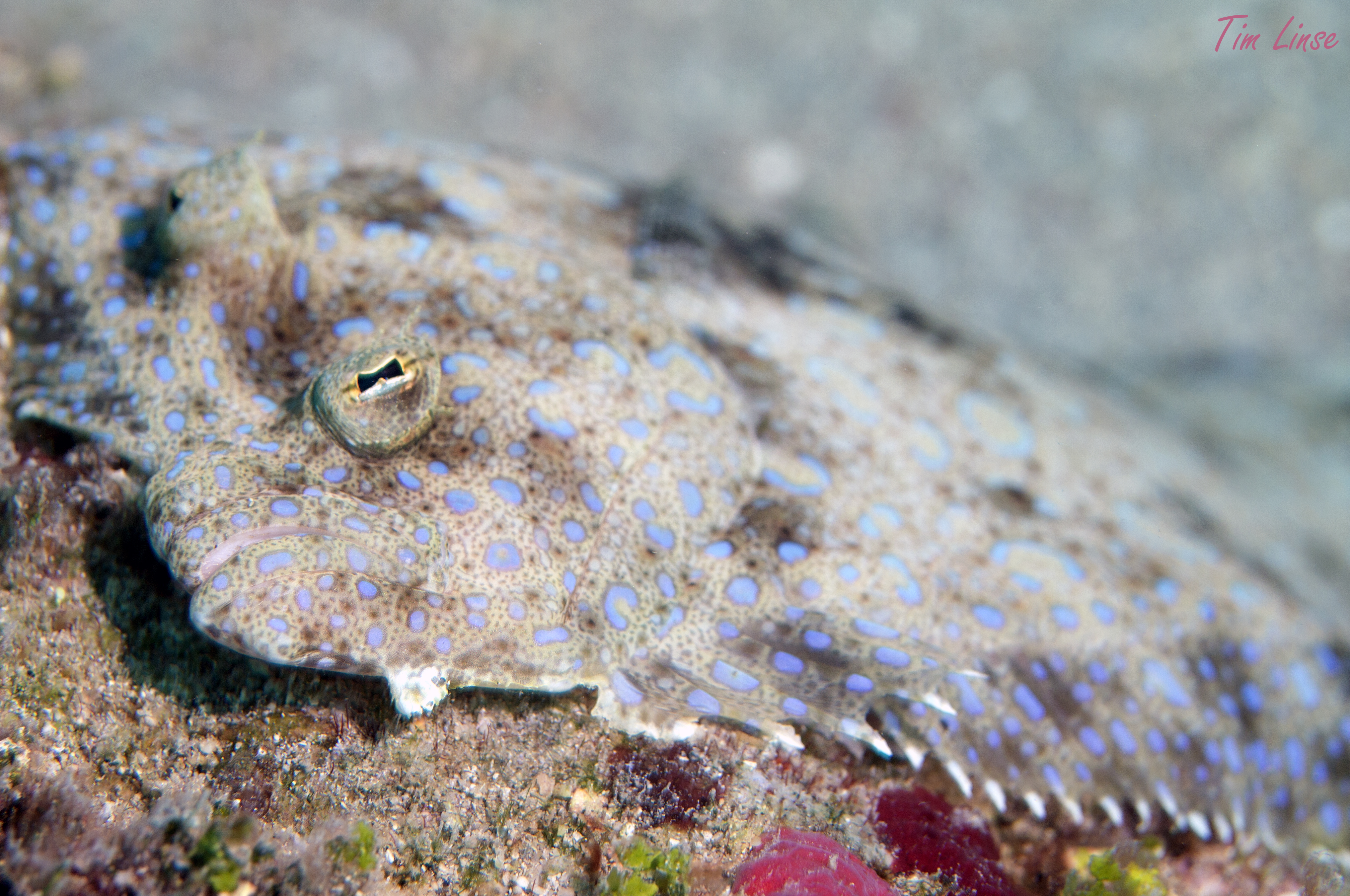 Sweet Bottom Dive Center | Photo Gallery