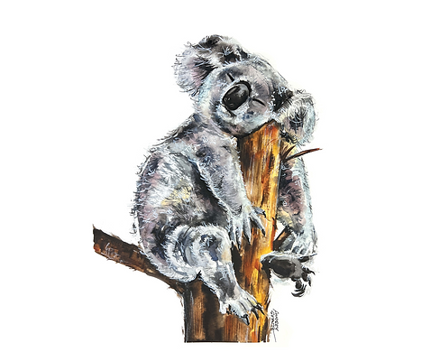 Home | Audrey Shantz Art