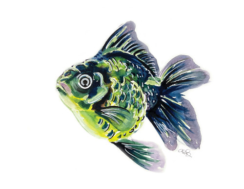 Green Fish | Audrey Shantz Art