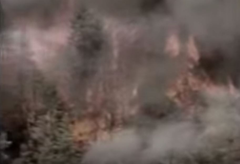 Part 6 - Do our Wildland Fire (WF) Instructors foster "complete ...