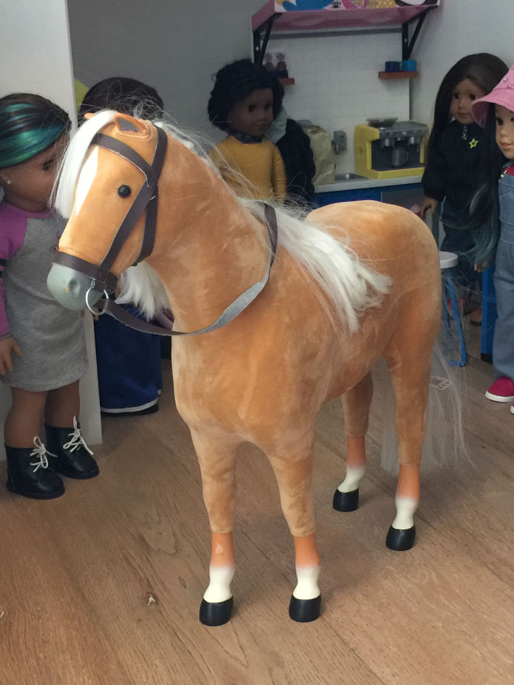 Before and After Cleaning My New Horse | agnews