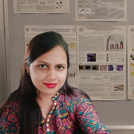 Team | Division of Developmental Biology & Toxicology