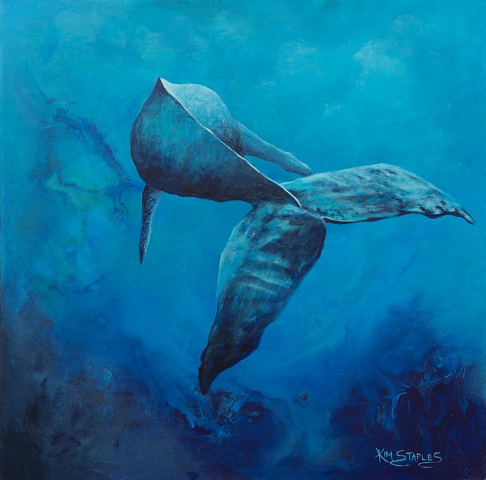 Humpback Whale Going Home | Art Prints for Sale | Kim Staples Art