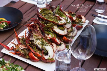 The Marron Industry - Western Australia's Native Freshwater Crayfish ...