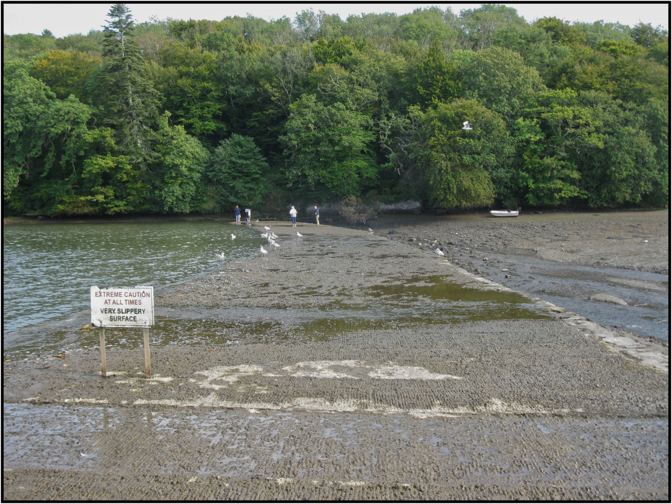 Mill Pool Dam, Stoke Gabriel