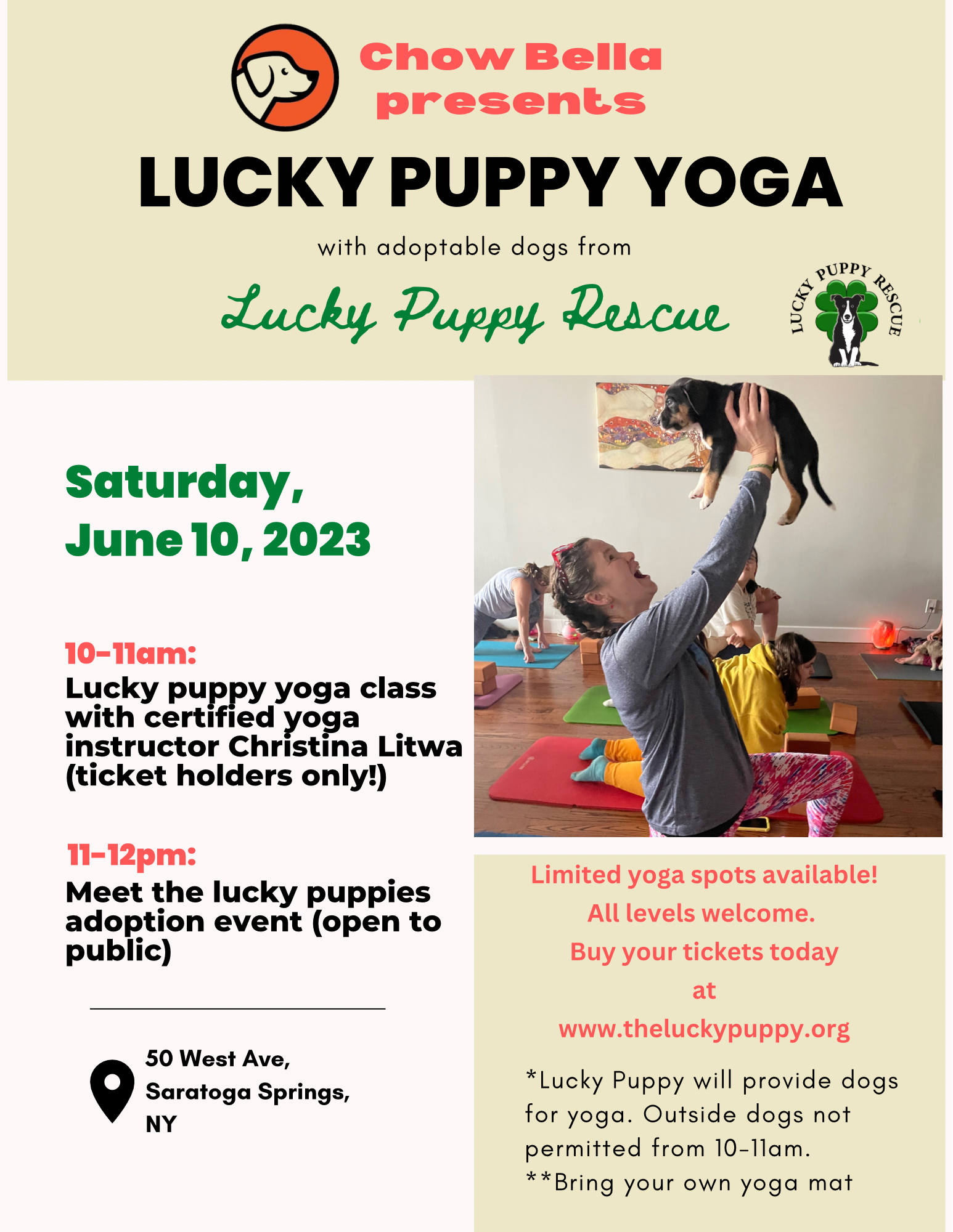 NY- Lucky Puppy Yoga | Lucky Puppy Rescue