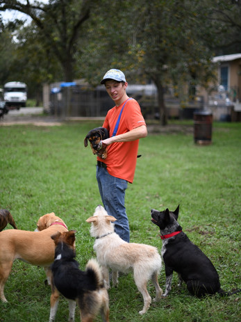 Volunteer | Lucky Puppy Rescue