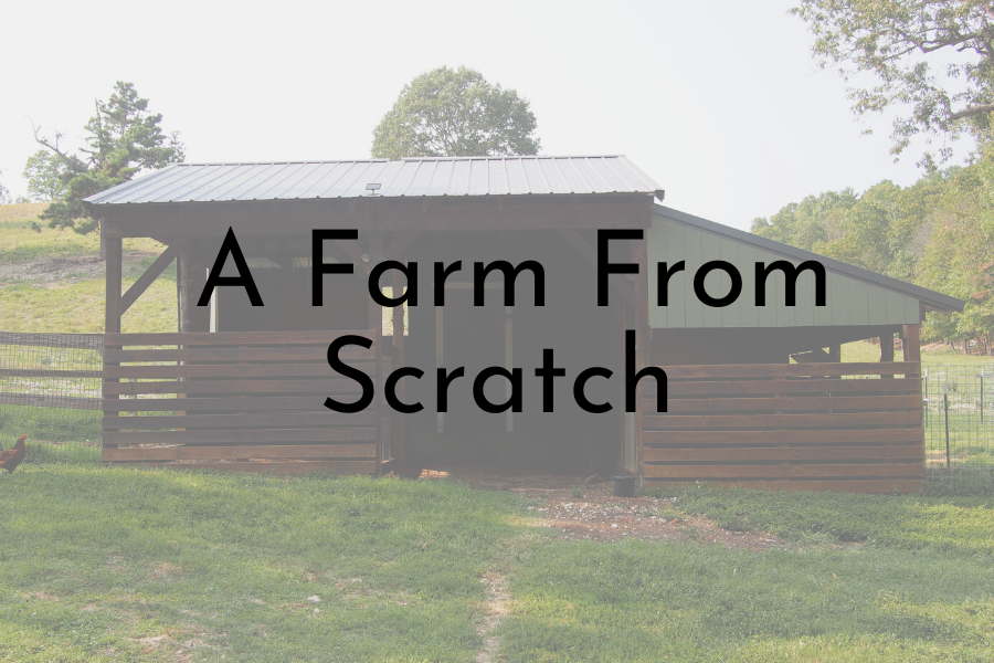 A Farm from Scratch