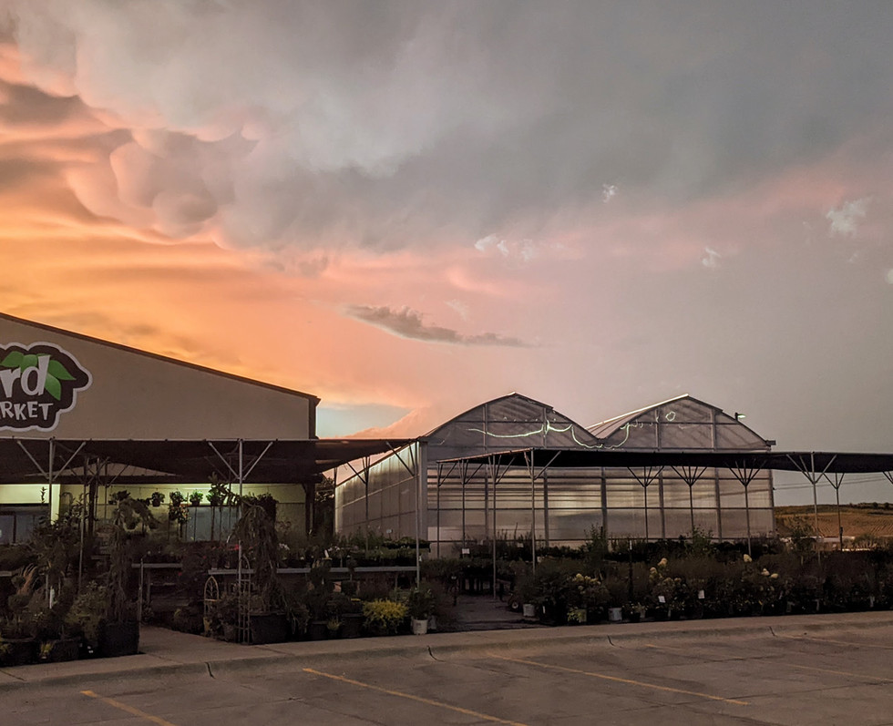 Outdoor Nursery & Services | Yard Market Nursery | Omaha, NE