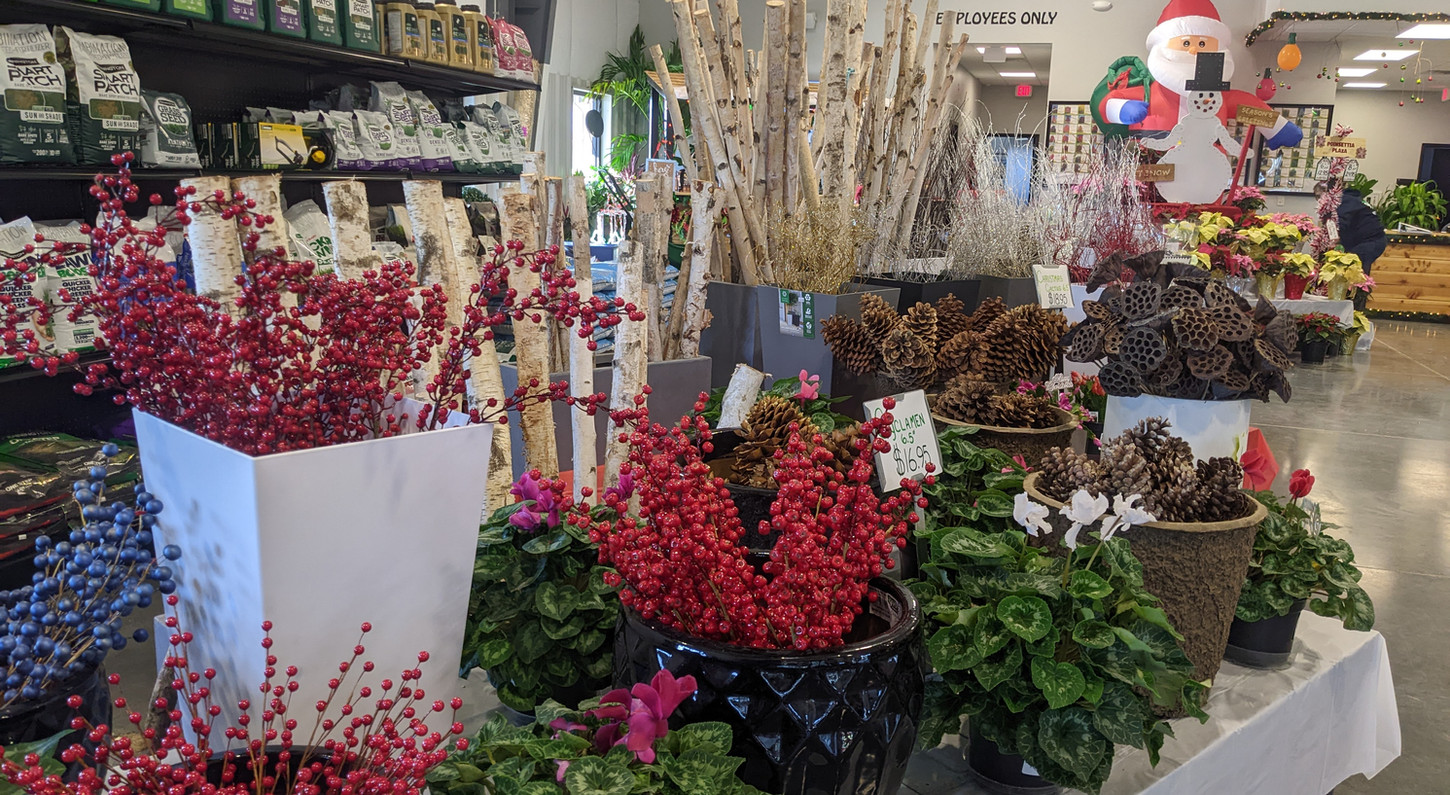 Outdoor Nursery & Services | Yard Market Nursery | Omaha, NE