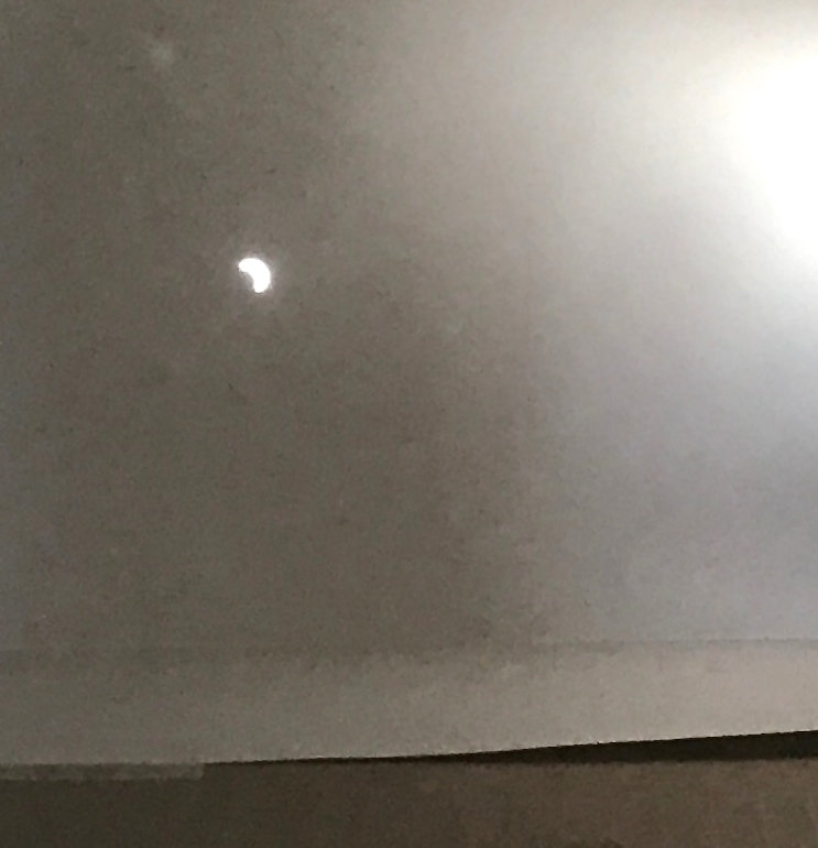 Solar Eclipse, Pinhole Camera View, Los Angeles, 2017 (photo by Greg ...