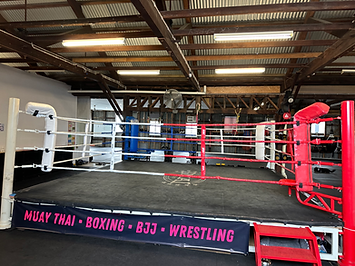 About Us | Pretty Top Team: Muay Thai, Boxing & Wrestling Gym