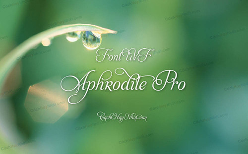Download Font UVF Aphrodite Pro Việt Hóa | DownloadCDR