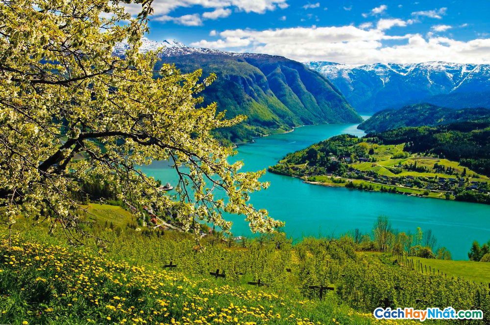 Norway - A Spectacular Summer Destination