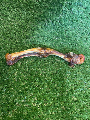 Crocodile Bones | ozdogz