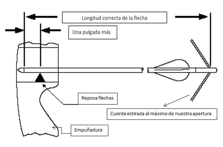 Longitud de las flechas | club