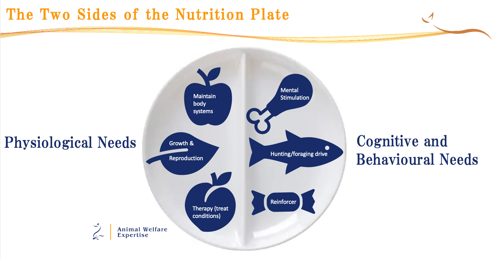 The Nutrition Plate | AWE