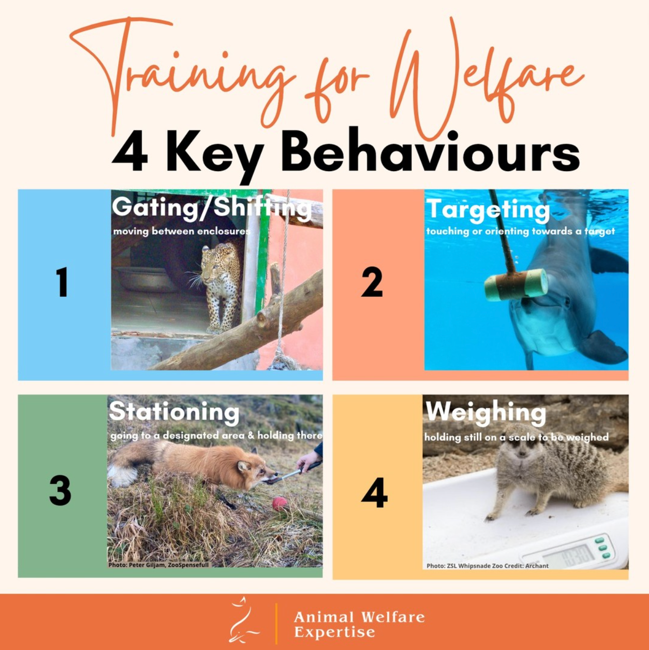 Training for Welfare | AWE