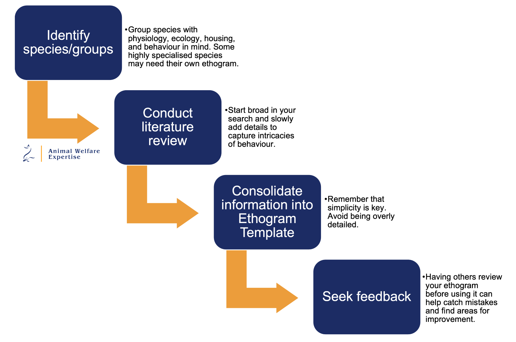 Ethogram Development Process | AWE