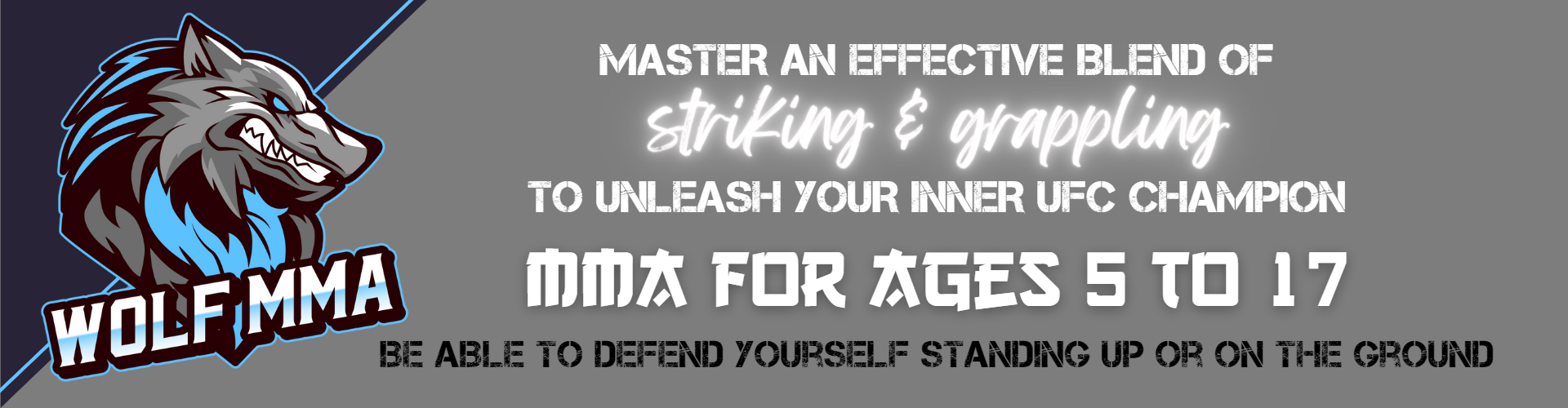 WOLF MIXED MARTIAL ARTS | Baekho Martial Arts