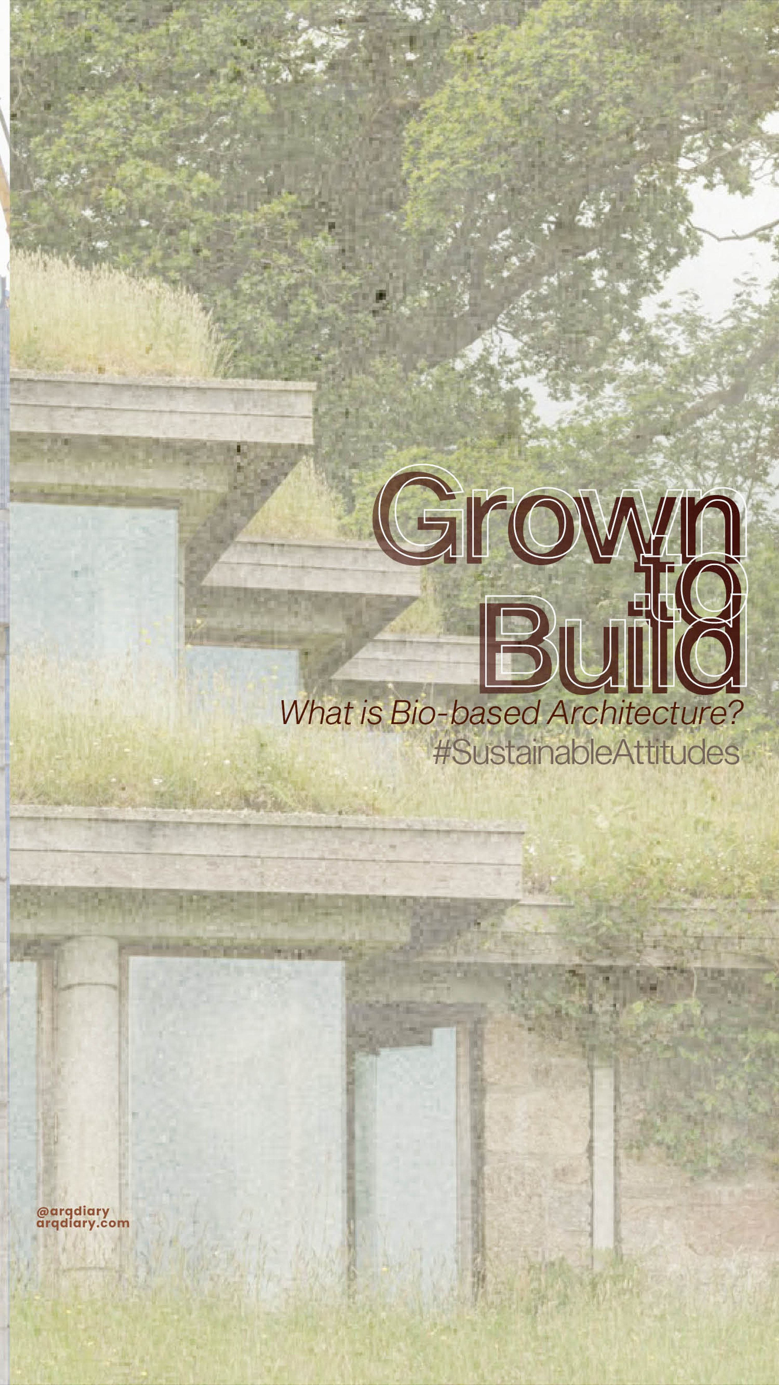 Grown to Build: Can You Build a Building Out of Plants?